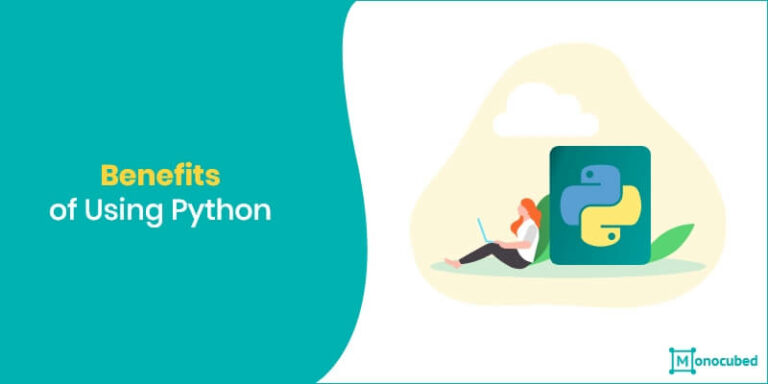 What Is Python Used For? 7 Benefits of Python For Business