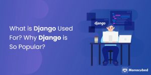 What is Django Used for? Pros And Cons of Django Framework